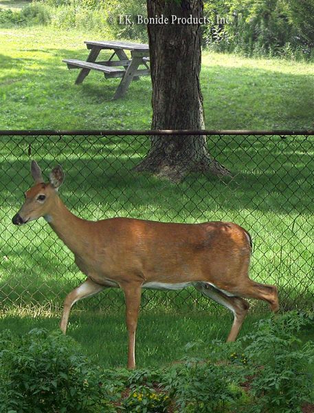 Animal Problem Solver - Bonide