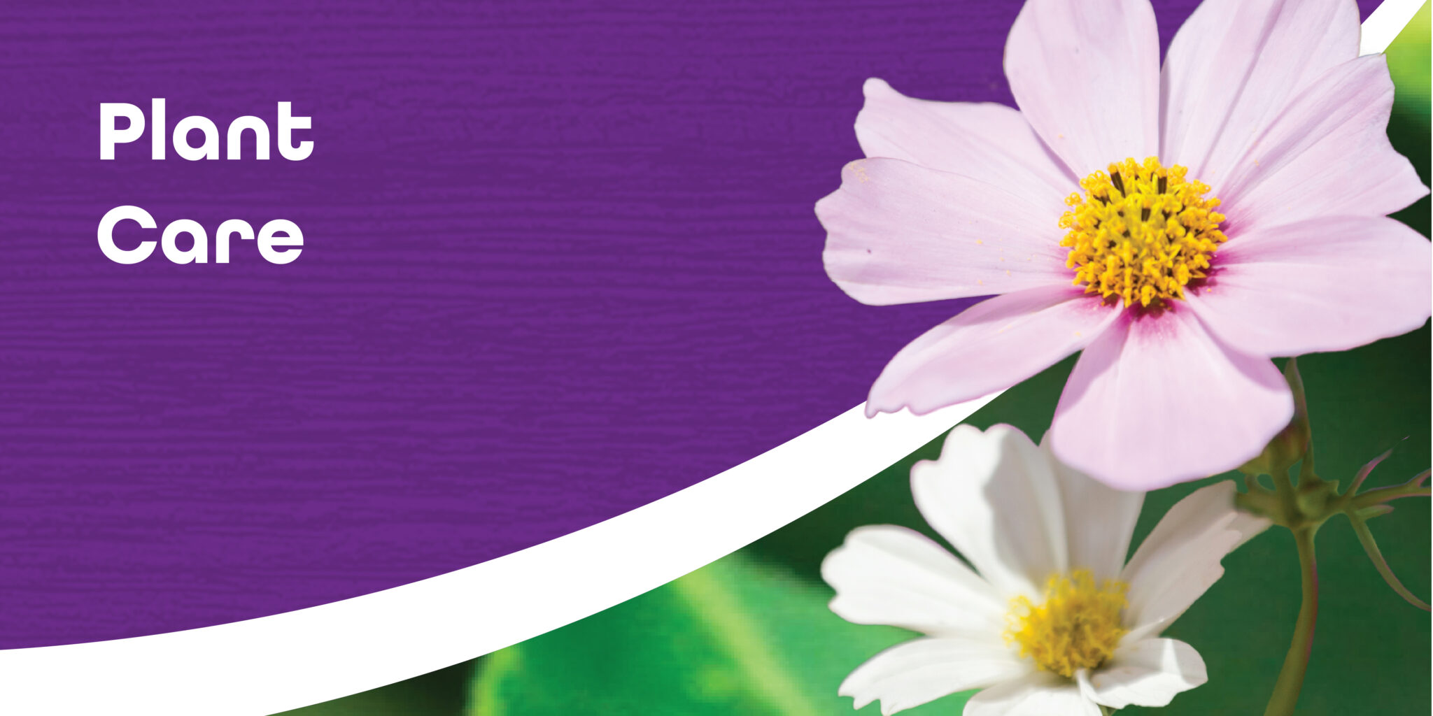 Bonide Trusted since 1926, Everything for Lawn and Garden